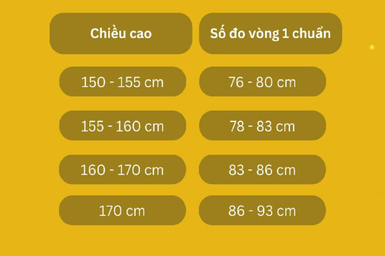 Số đo vòng 1 bao nhiêu là chuẩn? Là lép? - Unity Fitness