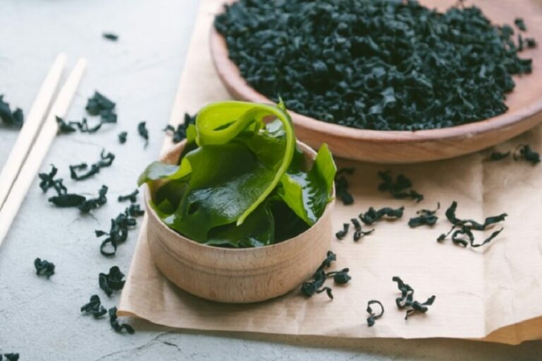 Rong biển bao nhiêu calo? Ăn rong biển có béo không?