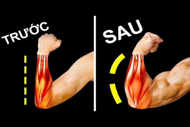 Bài tập tăng cơ tay tốt nhất cho cả nam nữ